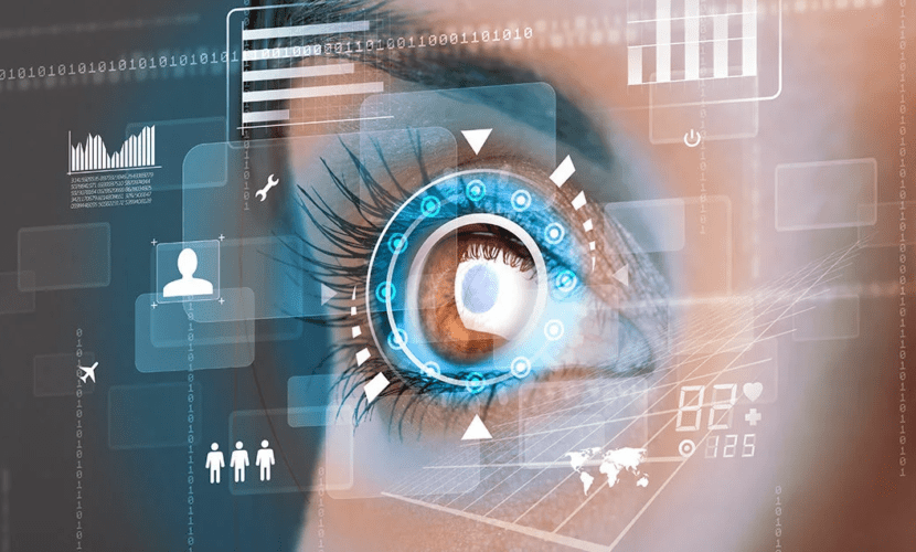 Tulipanes Imperialismo Organizar Sensor De Iris Suma Atenci n Ver Internet Tulipanes Imperialismo Organizar Sensor De Iris Suma Atenci n Ver Internet